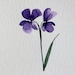 Violet Card, Floral Card, Floral Watercolor Card, Violet Birthday Card ...