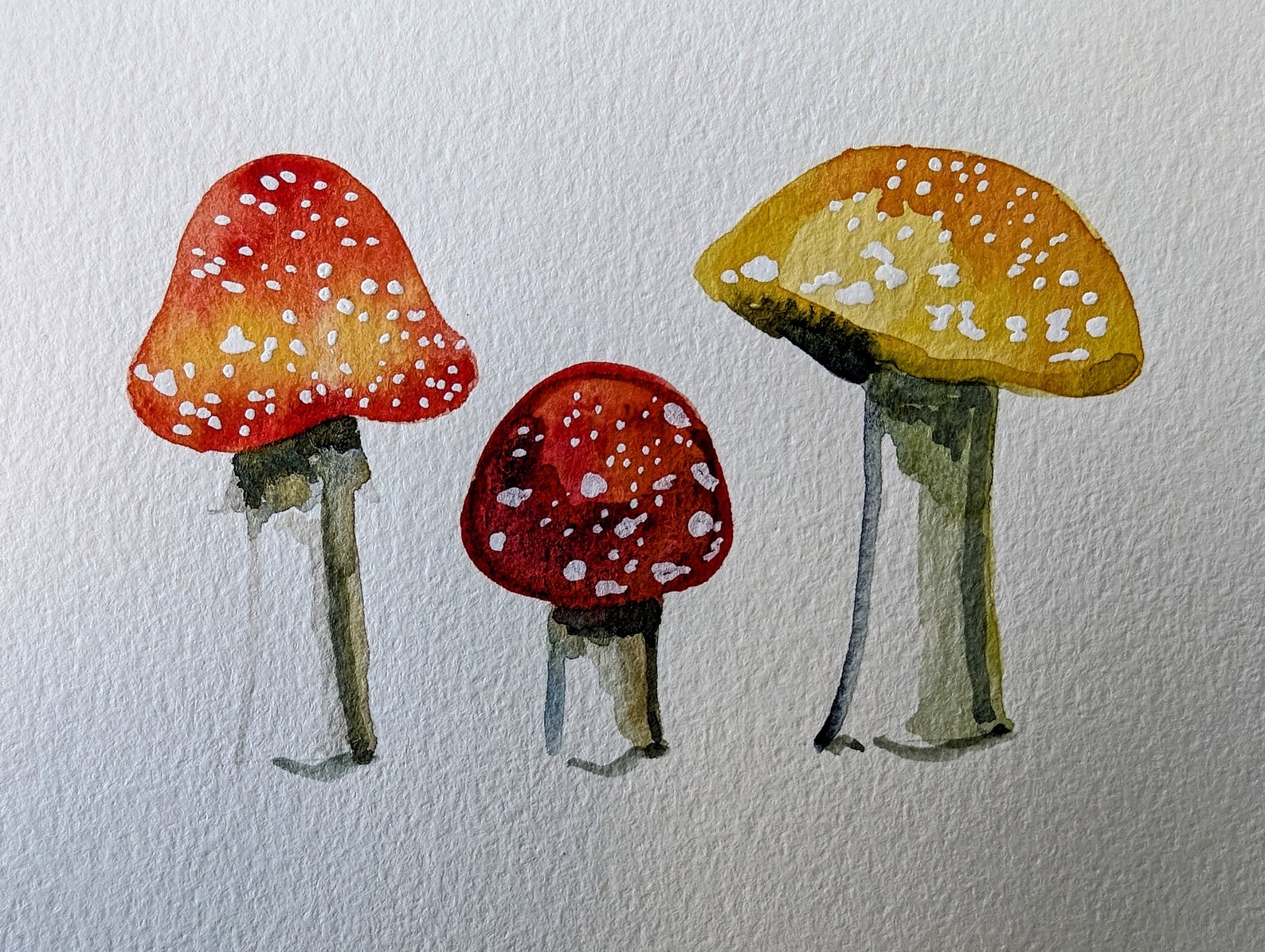 Mushroom Greeting Card, Toadstool Note, Watercolor Mushroom Painting ...