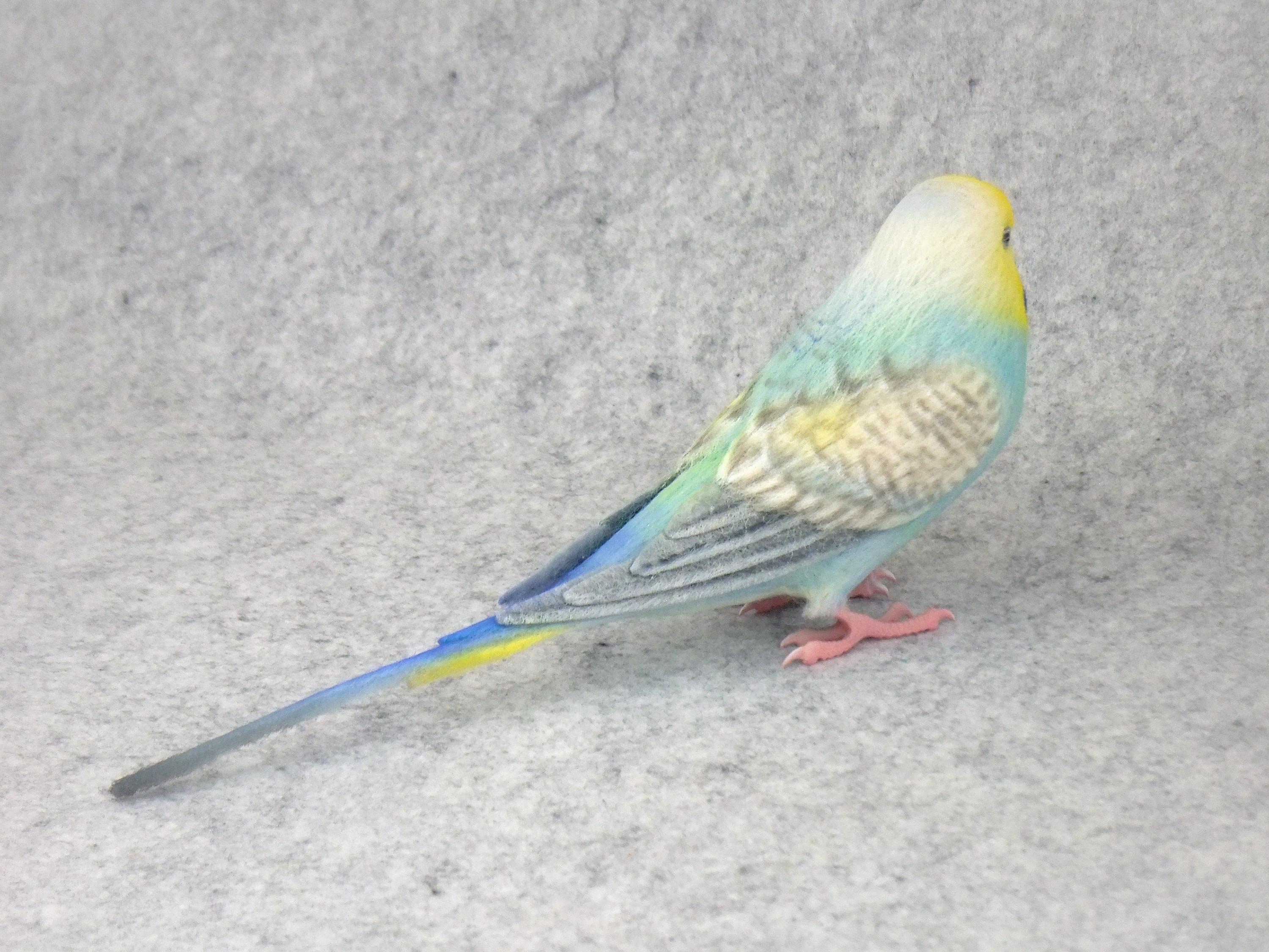 Budgerigar. Parakeet. Budgie. Handmade. Felted Bird. 2112031 - Etsy
