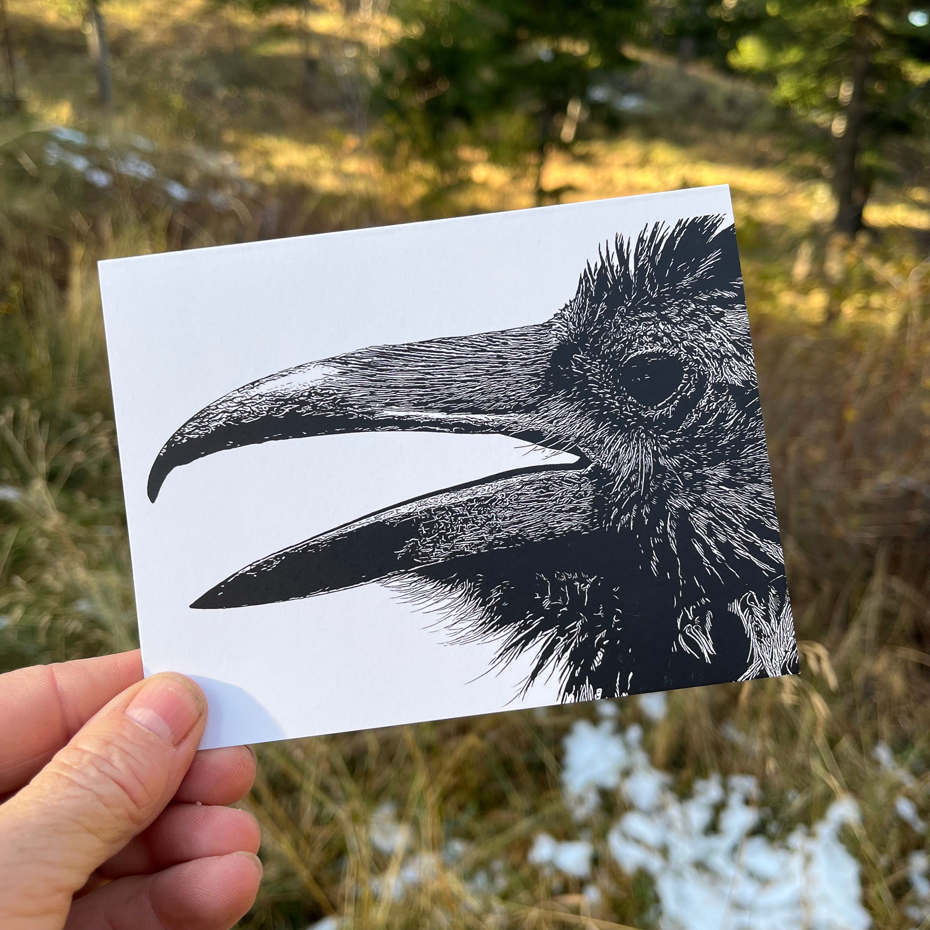 Raven Notecard With Envelope 4.25 X 5.5 Horizontal - Etsy