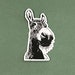 Donkey Sticker Set of 3 - Etsy
