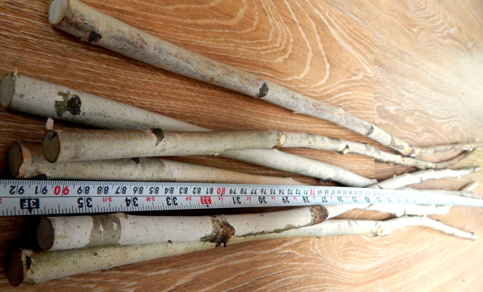 Birch Tree Branch, Birch Sticks, Birch Wood Logs, Decorative Birch ...