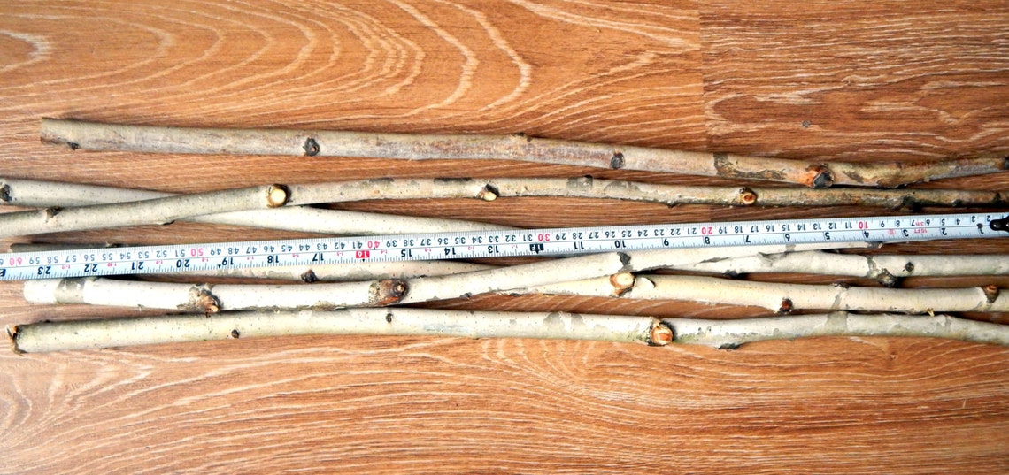 Birch Tree Branch, Birch Sticks, Birch Wood Logs, Decorative Birch ...