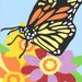Paint by Number Kit - Colorful Monarch Butterfly With Flowers (perfect ...