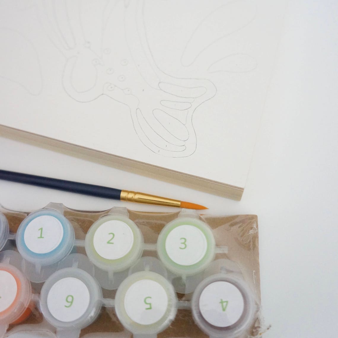 United States Map Paint by Number Kit | Etsy