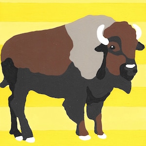 Buffalo Paint by Number Kit - Etsy