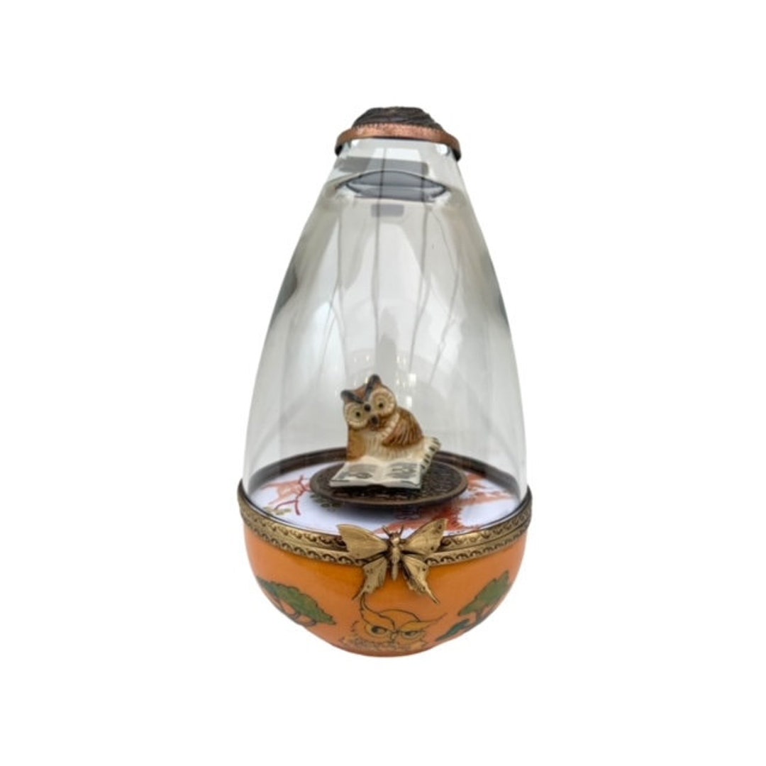 Owl / Romantic Music Box/ Orange Music Box / Personnalized Gift ...