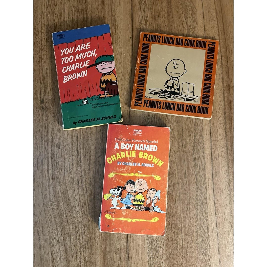 Peanuts Snoopy Charlie Brown Lunch Bag Cookbook, Too Much, A Boy, 3 Vtg ...