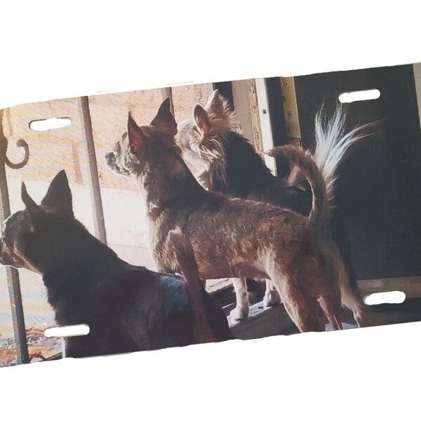 Dog License Plates - Etsy