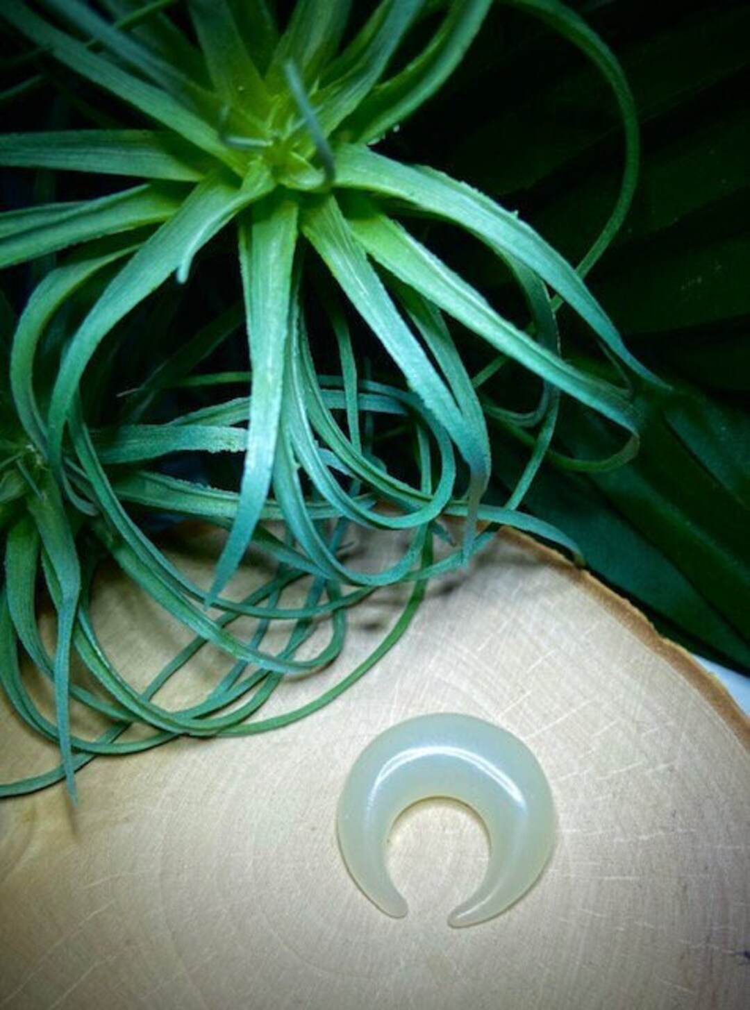 Pinchers/pincers Stone 7/16G or 10mm Green Jade - Etsy