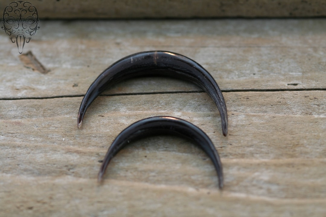 Peoples Jewelry - Buffalo Horn Septum Tusks - Priced per Piece. - Etsy