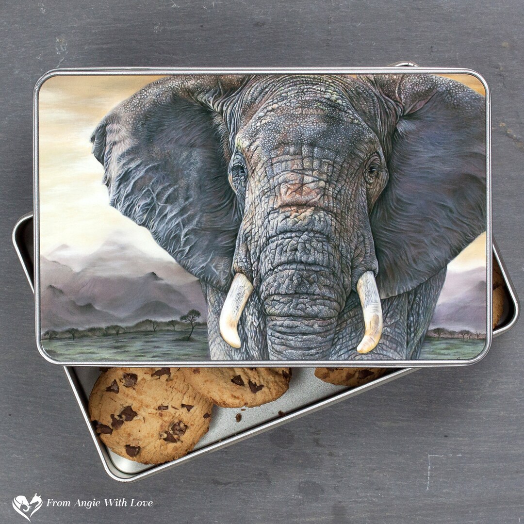 Elephant Tin -elephant Rectangular Storage Tin - Etsy