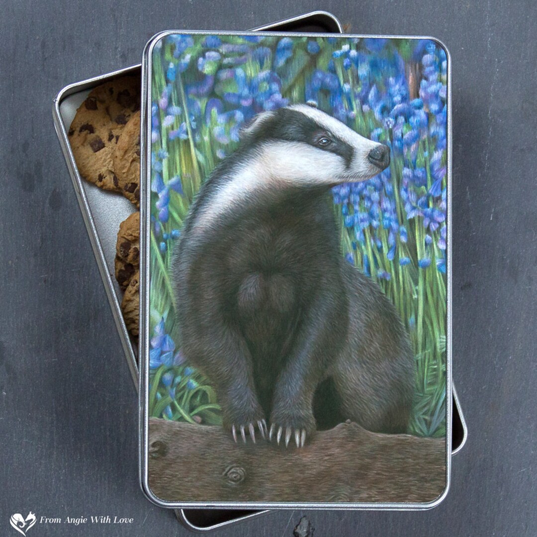 Badger Rectangular Storage Tin - Etsy
