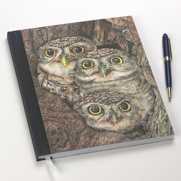 Owl Notebook - Etsy