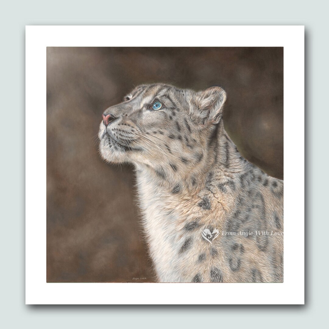 Snow Leopard Limited Edition Print - Mountain Spirit - Etsy