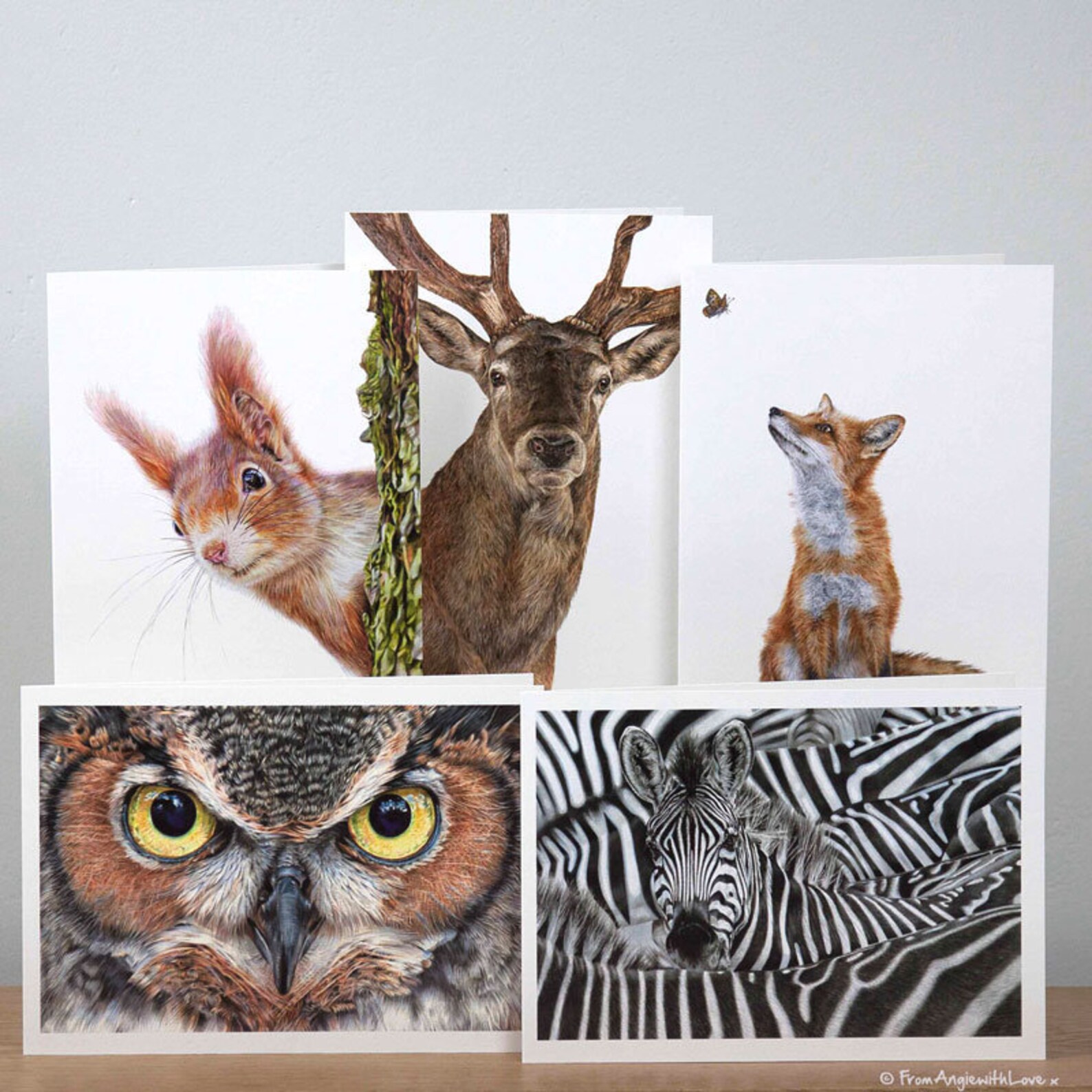 Wildlife Greeting Cards Mixed Pack - Etsy
