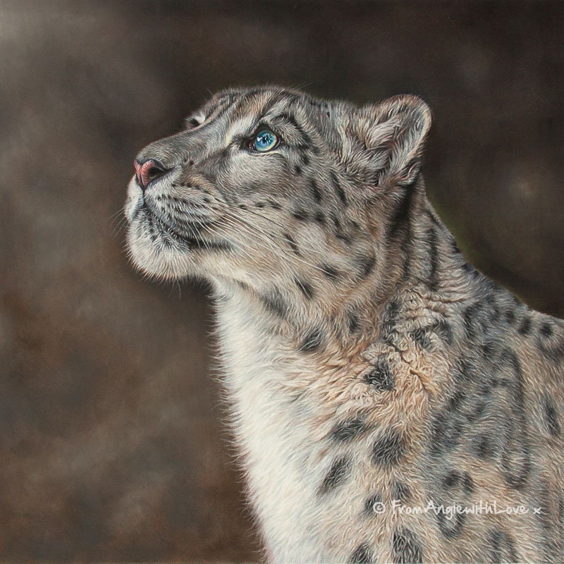 Snow Leopard Limited Edition Print - Mountain Spirit - Etsy