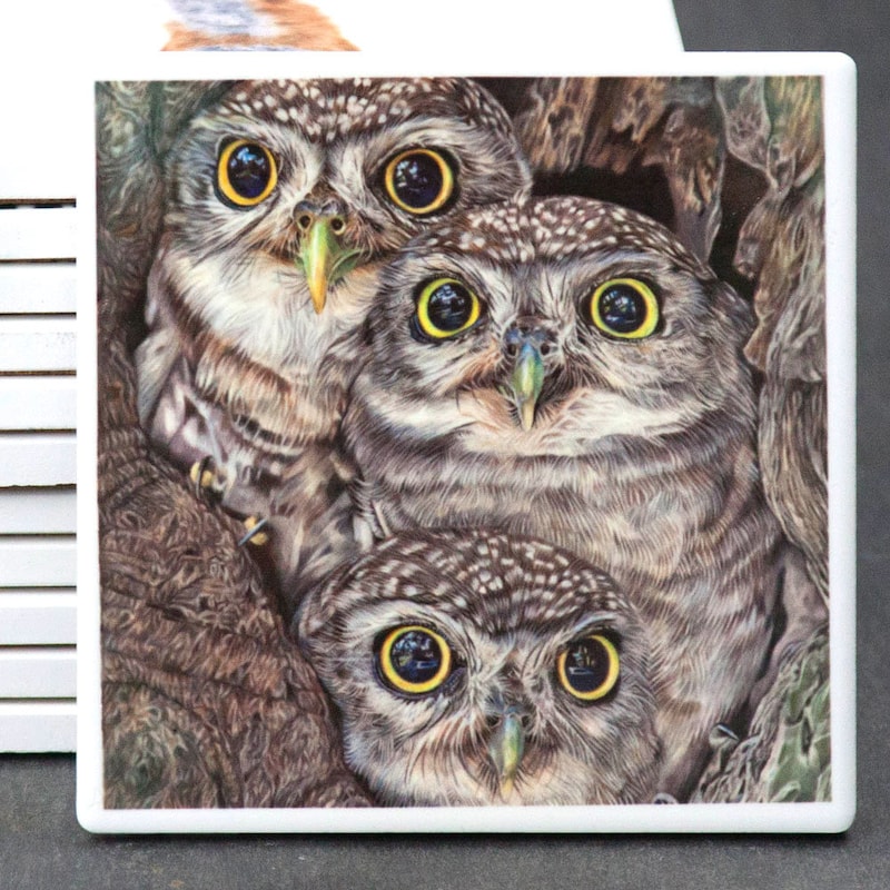 Owl Coasters - Etsy