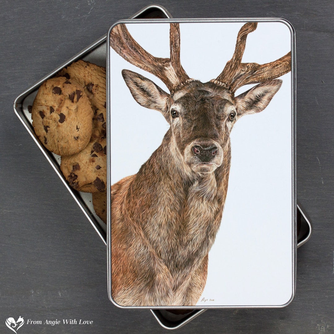 Stag Rectangular Storage Tin - Etsy