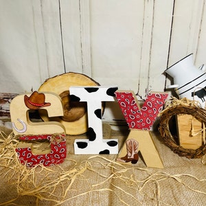 Cowboy Theme Decorated Letters Party Decor, My First Rodeo, Birthday ...