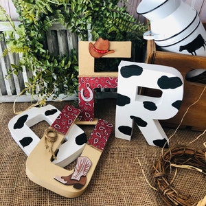 Cowboy Theme Decorated Letters Party Decor, My First Rodeo, Birthday ...