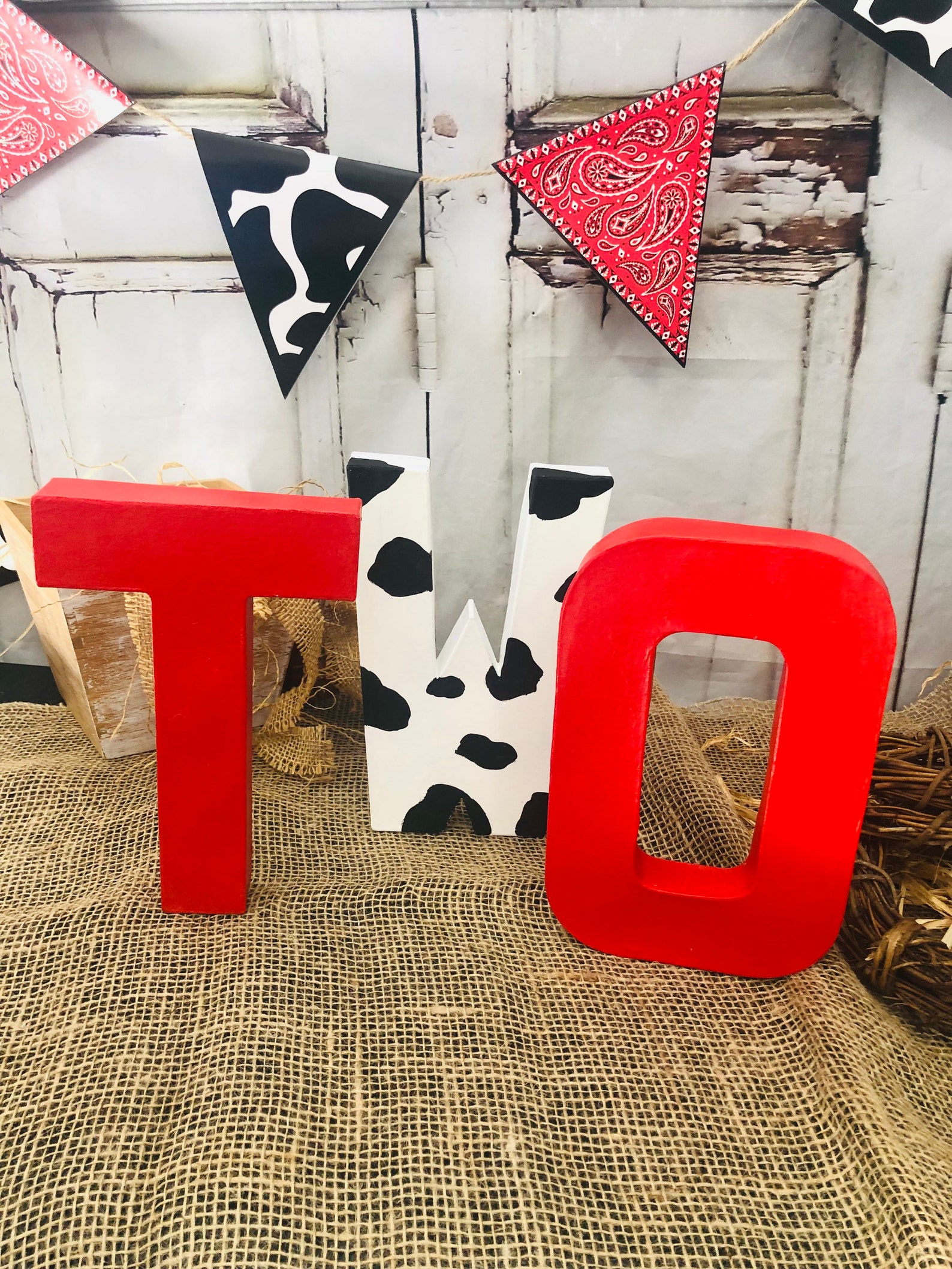 Cowboy/cowgirl Birthday Party Paper Mache Letters Cow Theme Party Photo ...