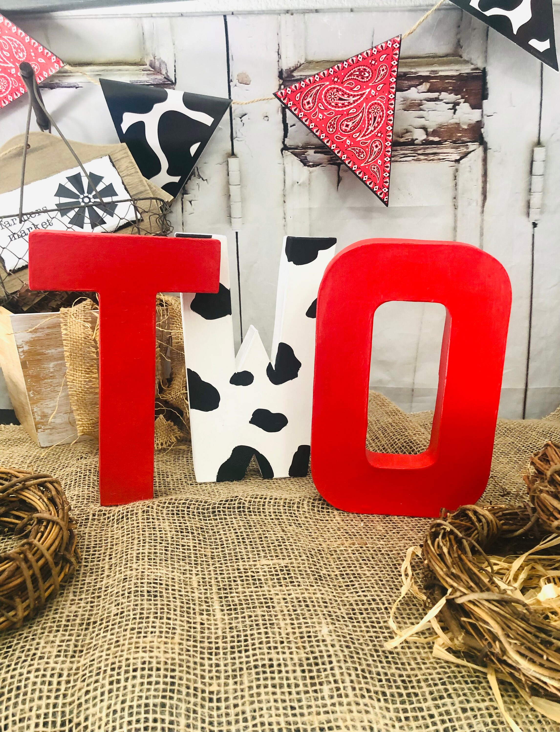 Cowboy/cowgirl Birthday Party Paper Mache Letters Cow Theme Party Photo ...