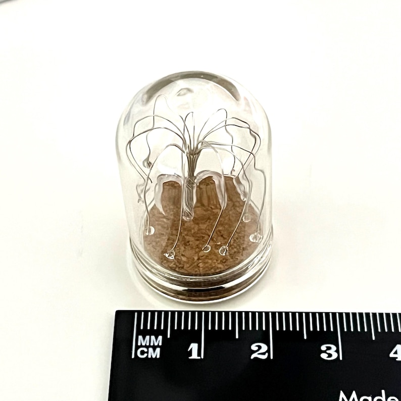 Tiny Atokirina in Bell Jar Pandora Flora - Etsy