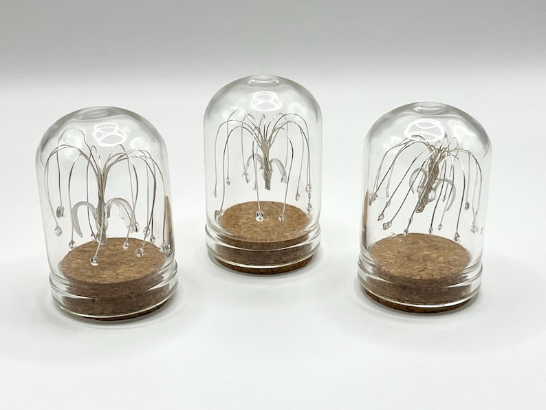 Tiny Atokirina in Bell Jar Pandora Flora - Etsy
