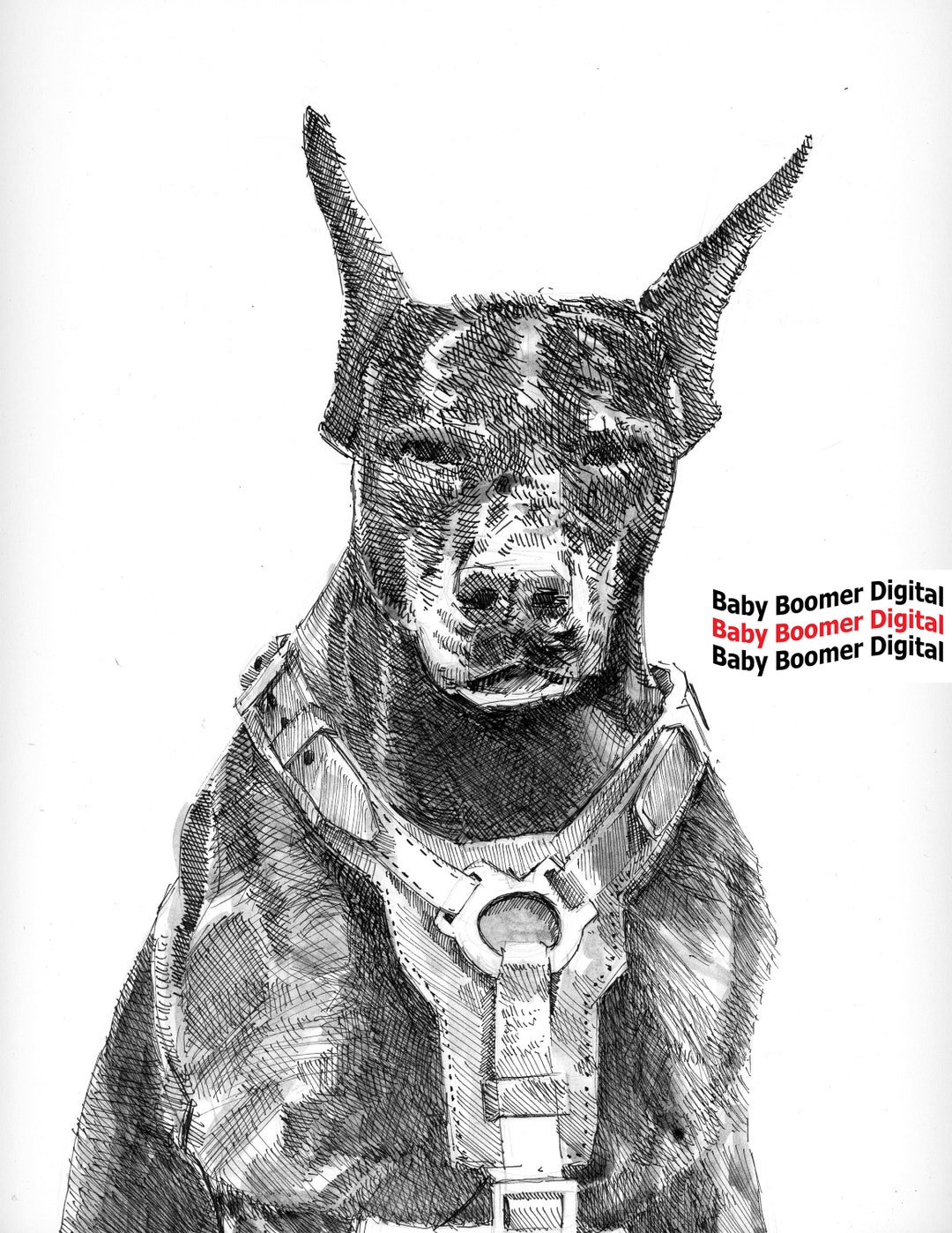 Doberman Pen & Ink Drawing by Ray Horner Jr. (digital Download) - Etsy