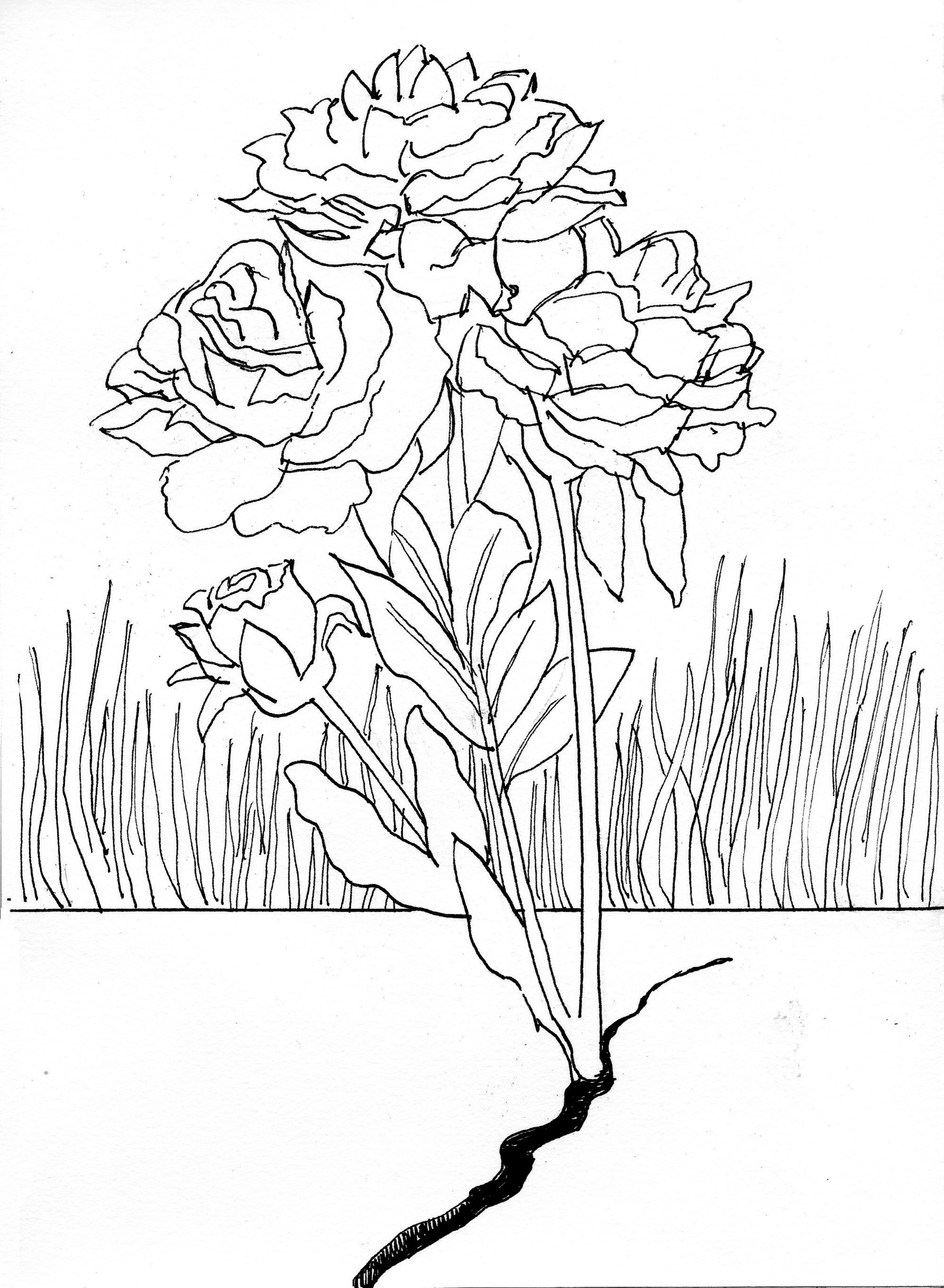 Grow Where You Are Planted Coloring Page by Ray Horner Jr. Instant ...