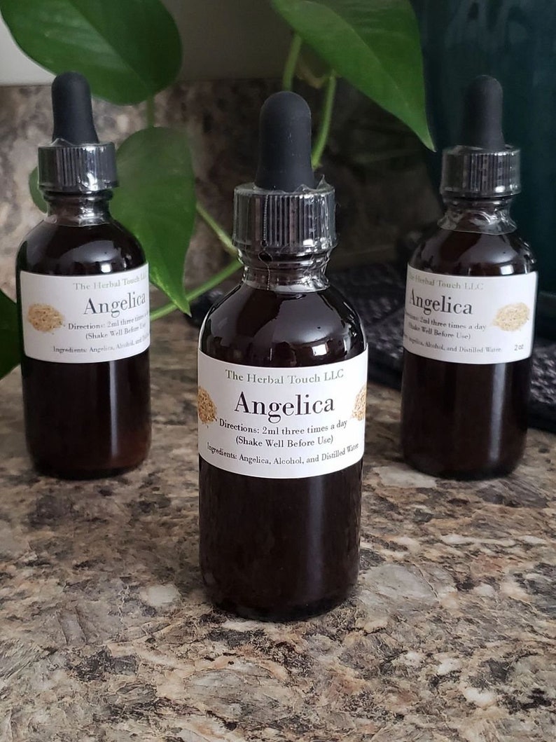 Angelica Extract - Etsy