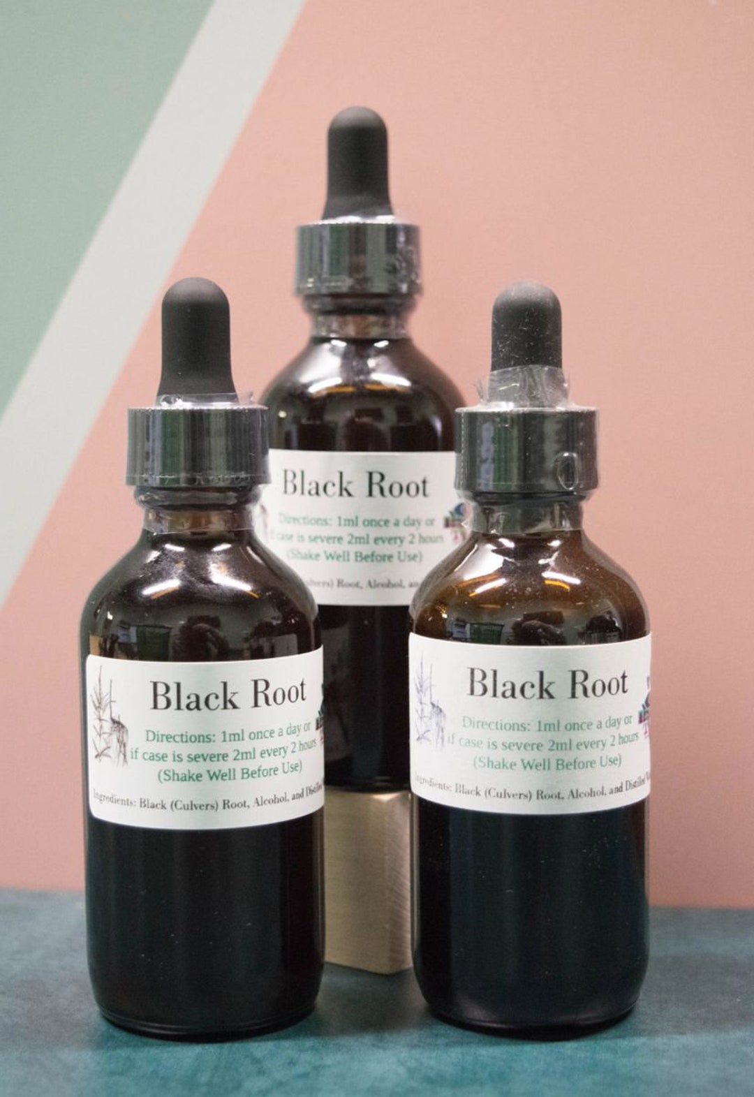 Black Root (culver's Root) - Etsy
