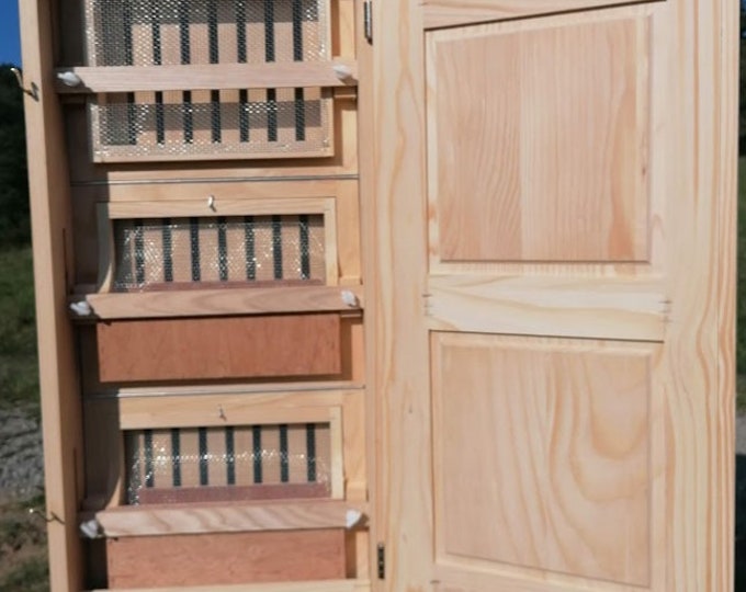 Beekeeping National Slovenian AZ Beehive 30-frames, 3 Story With 2 ...