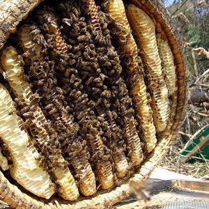 New Straw Bee Skep, Traditional Bee Skep Basket Height 37 Cm/14,5inch ...