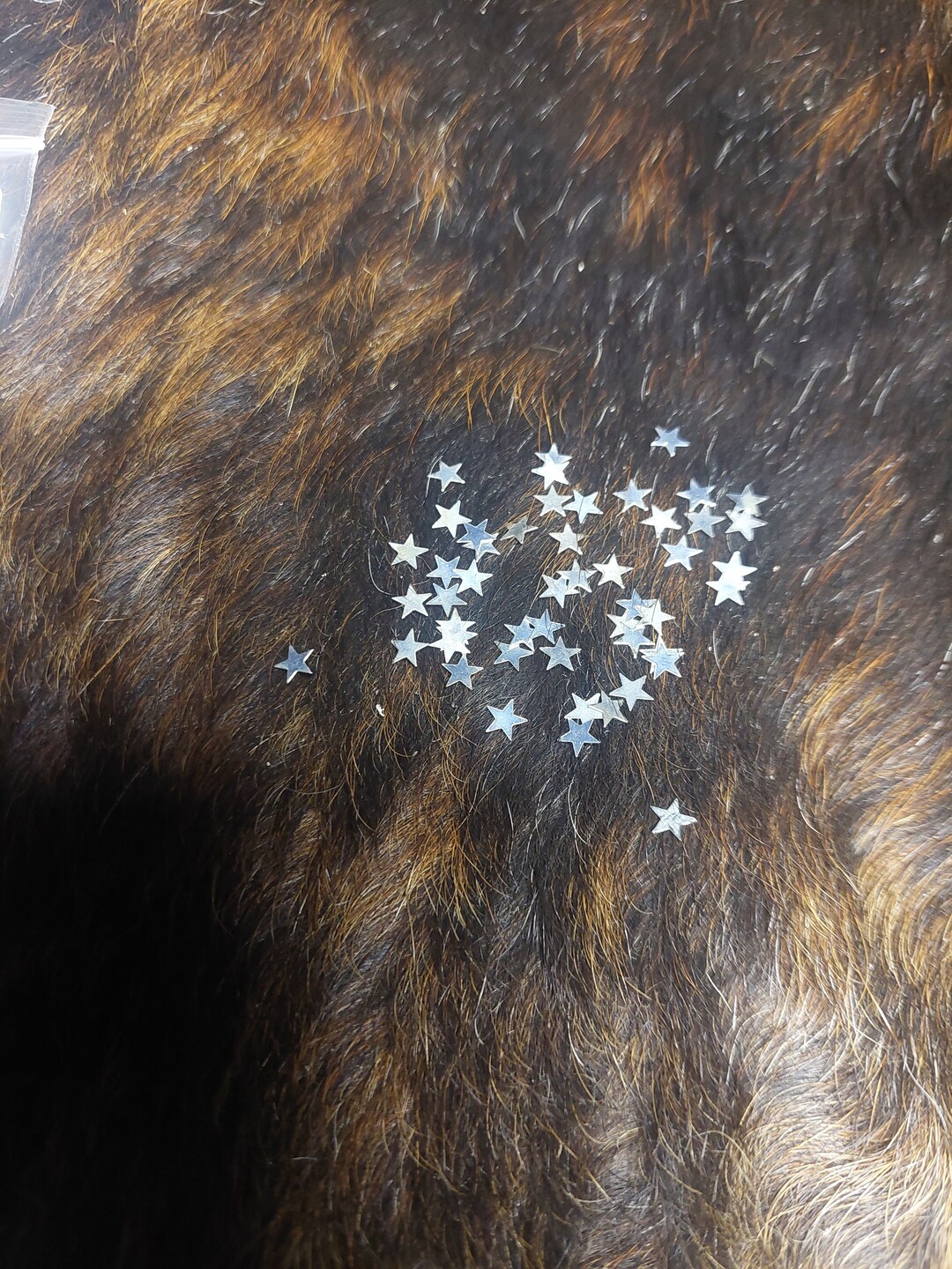 Ss Stamped Small Star Pk of 25 - Etsy