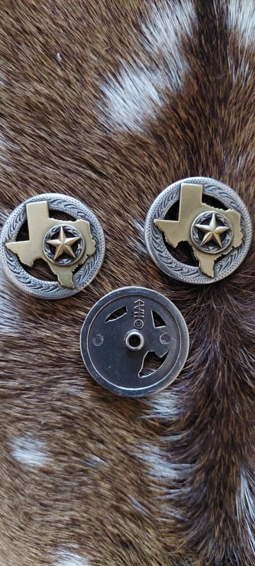Texas Concho With Star Gold Accents Screw Included - Etsy