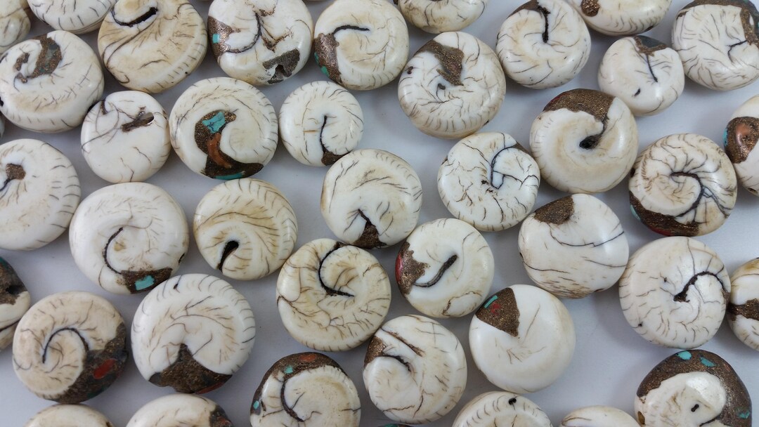 X1 Vintage Rare Tibetan Sacred Chank Shell Small Round/disk Bead W/ Gak ...