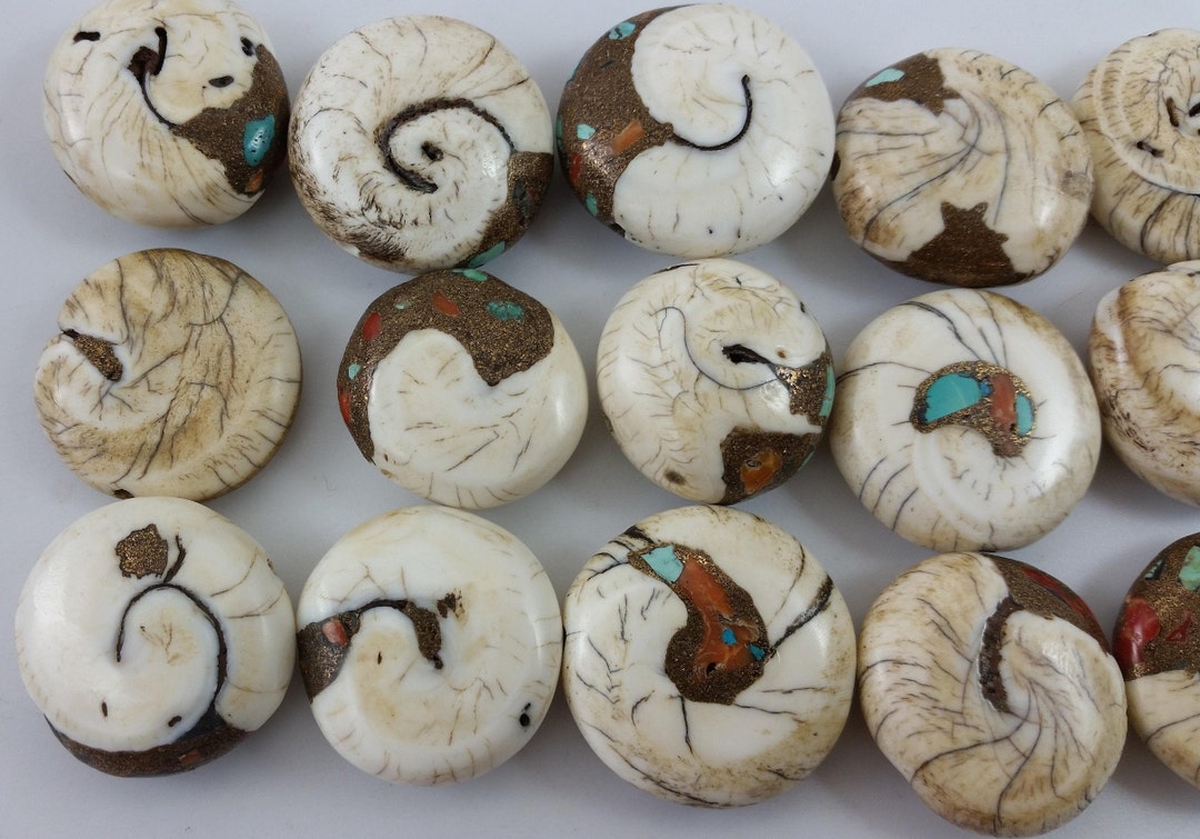 X1 Vintage Rare Tibetan Sacred Chank Shell Large Round/disk Bead W/ Gak ...