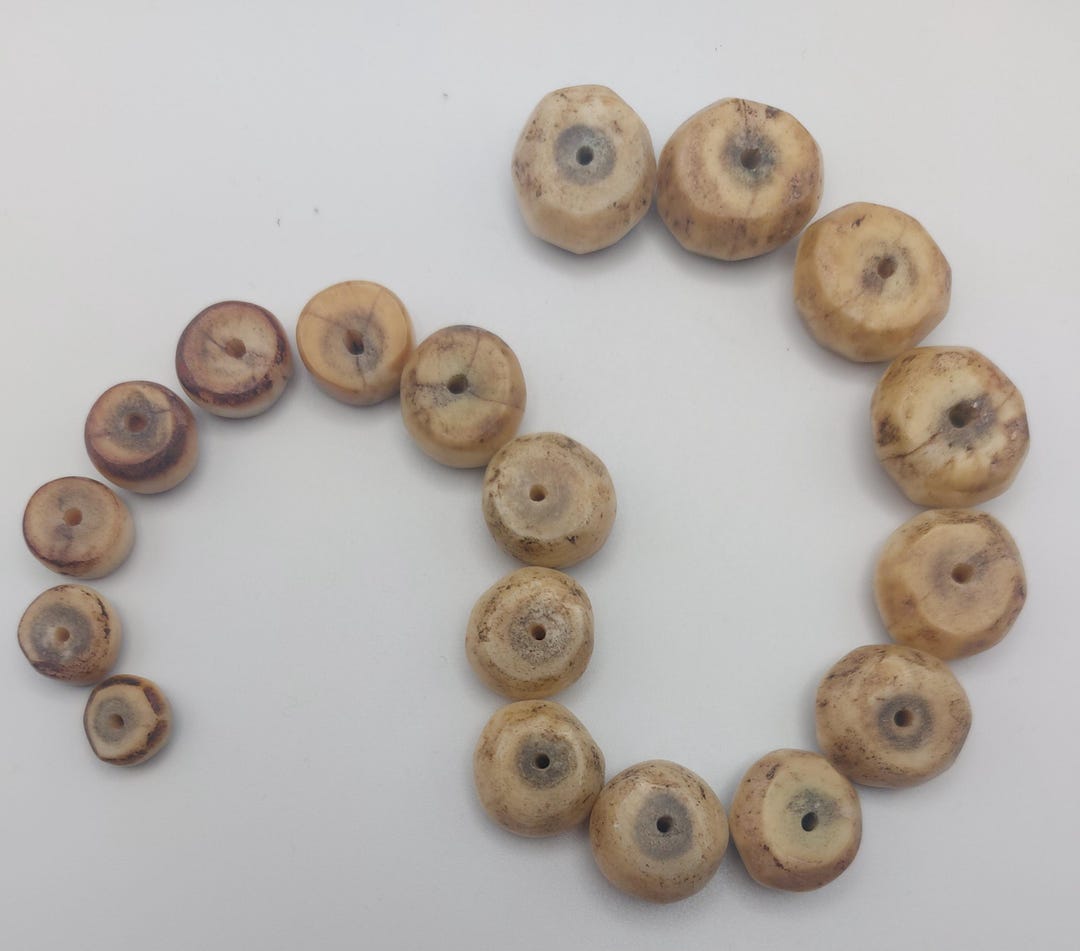 1 Lot of 18 Vintage Rare Naga Sacred Chank Shell Carved Graduated Round ...