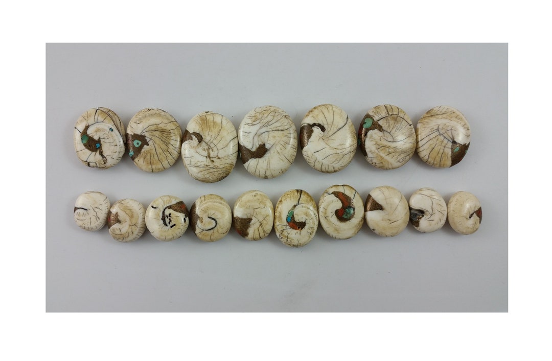 Lot X17 Vintage Rare Tibetan Sacred Chank Shell Oval/disk Beads W/ Gak ...