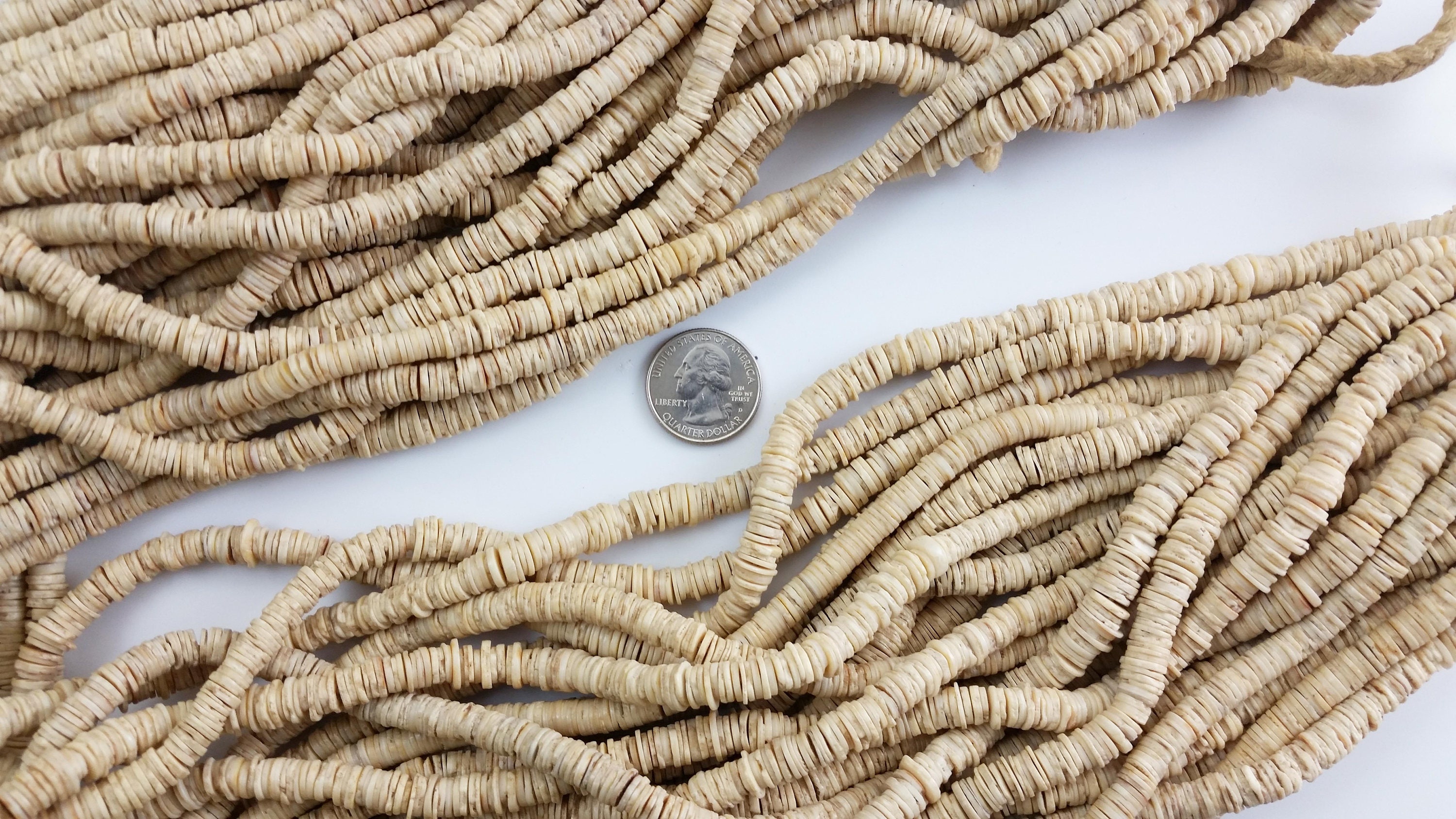 Vintage Huge Rare Heavy Tribal African Clam Shell Bead - Etsy