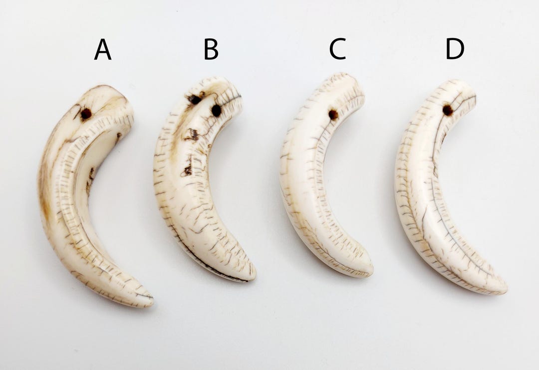 X1 Vintage Rare Tibetan Sacred Chank Shell "claw" or "tooth" Bead - CSB ...