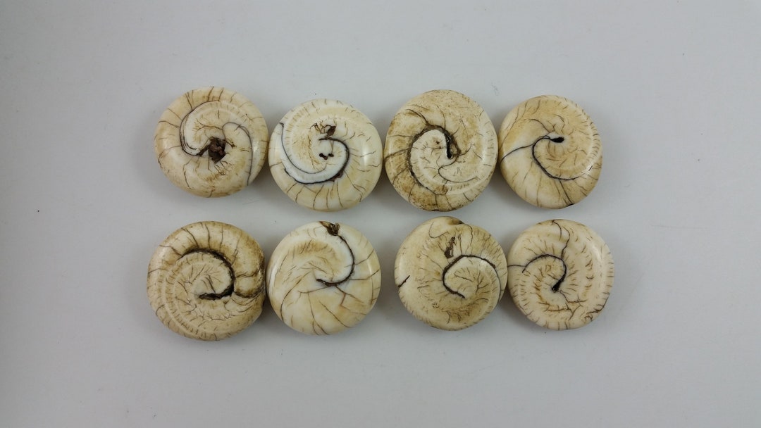 X1 Vintage Rare Tibetan Sacred Chank Shell X-large Round/disk Bead 32 ...