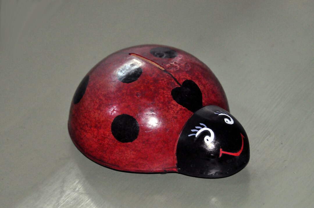 Handcrafted Bank, Ladybug Bank, Money Holder, Real Gourd - Etsy