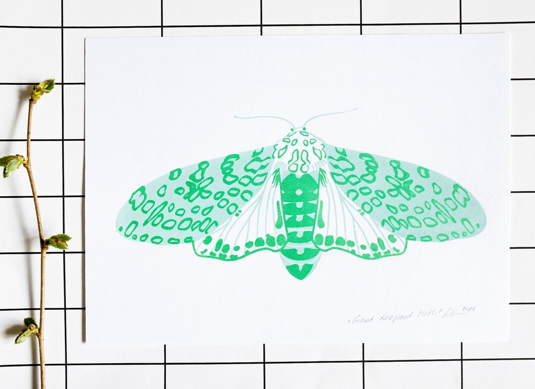 Giant Leopard Moth Screenprint Mint / Green Metallic - Etsy
