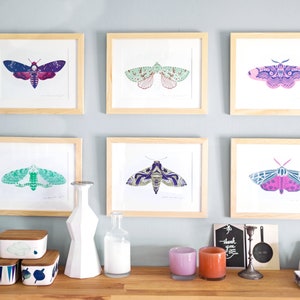 Oleander Hawk Moth Screenprint Green / Purple Metallic - Etsy