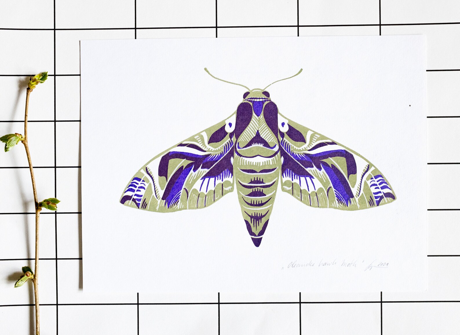 Oleander Hawk Moth Screenprint Green / Purple Metallic - Etsy