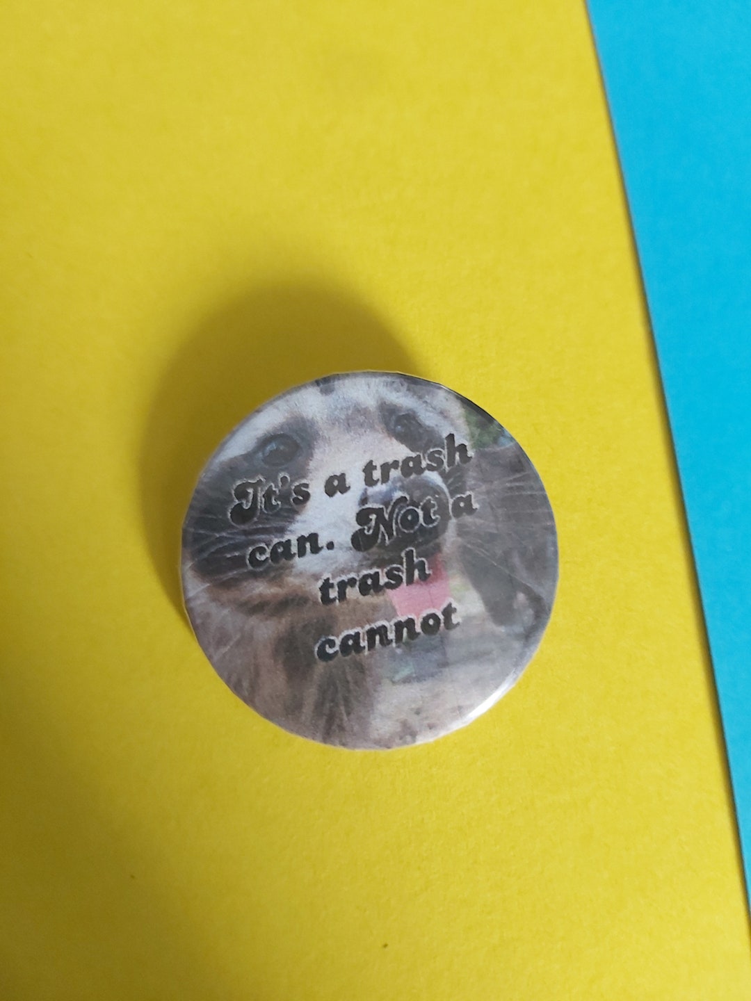 It's Called A Trash Can. Not A Trash Cannot Raccoon Trash Panda ...