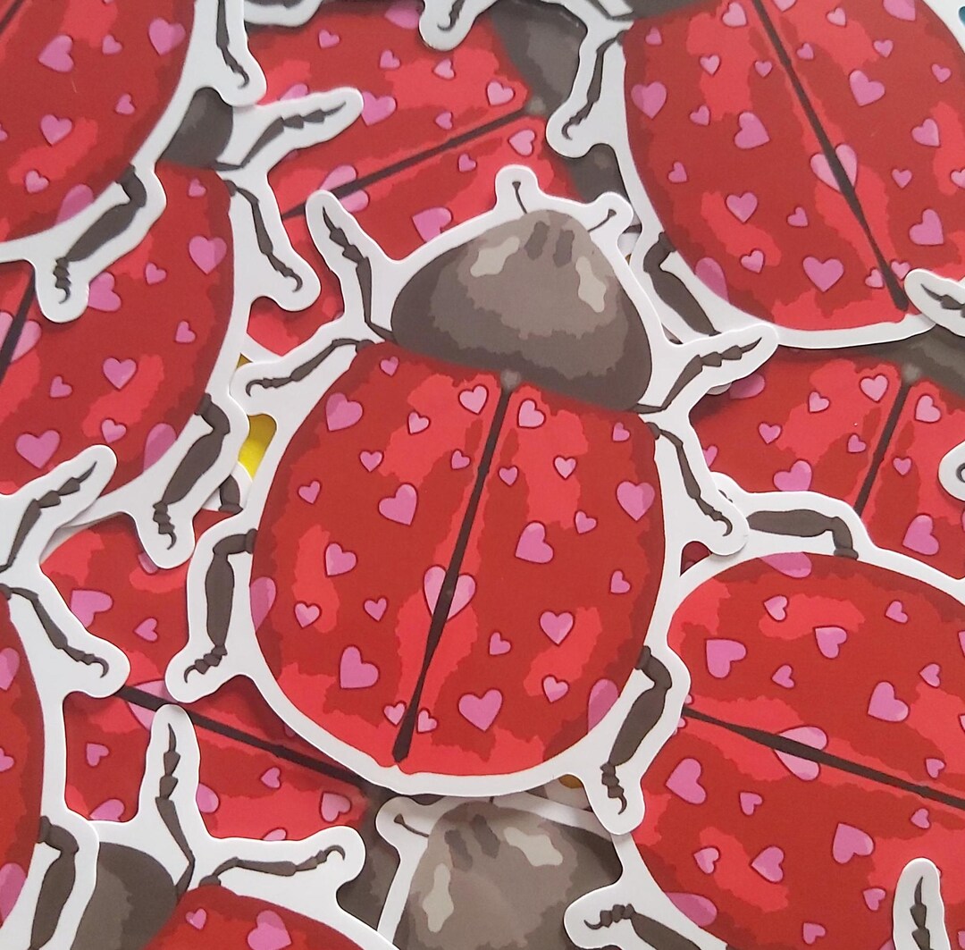 Love Bug Sticker | Heart Ladybug Kawaii Die Cut, 3" - Etsy